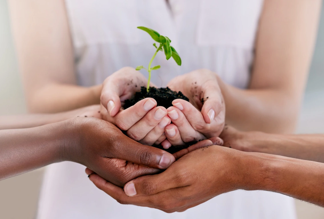 What Are the Key Elements of Collaboration? :@ Educationly