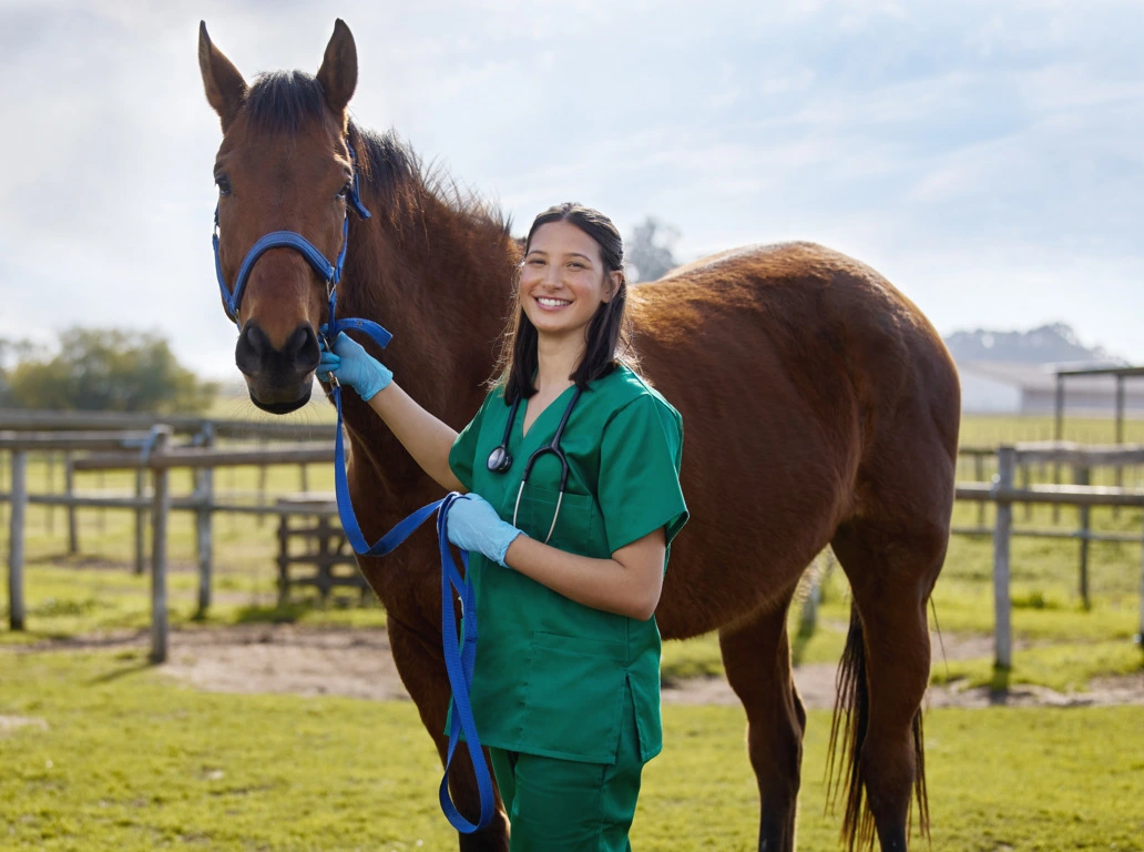What Skills Are Needed to Be a Veterinarian? :@ Educationly